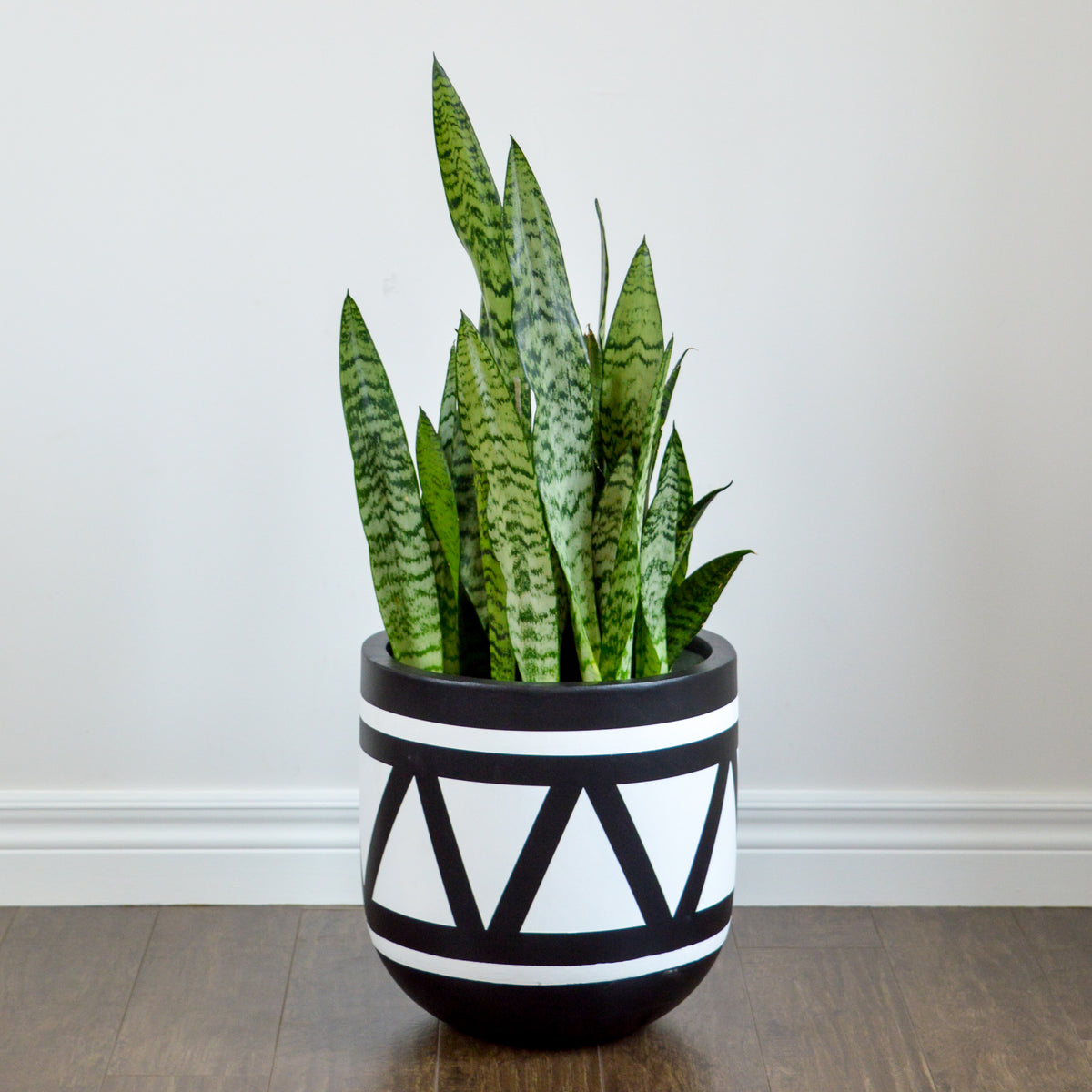 AZTEC PLANTER | Modern Lightweight Hand Painted Pots – Common House Studio