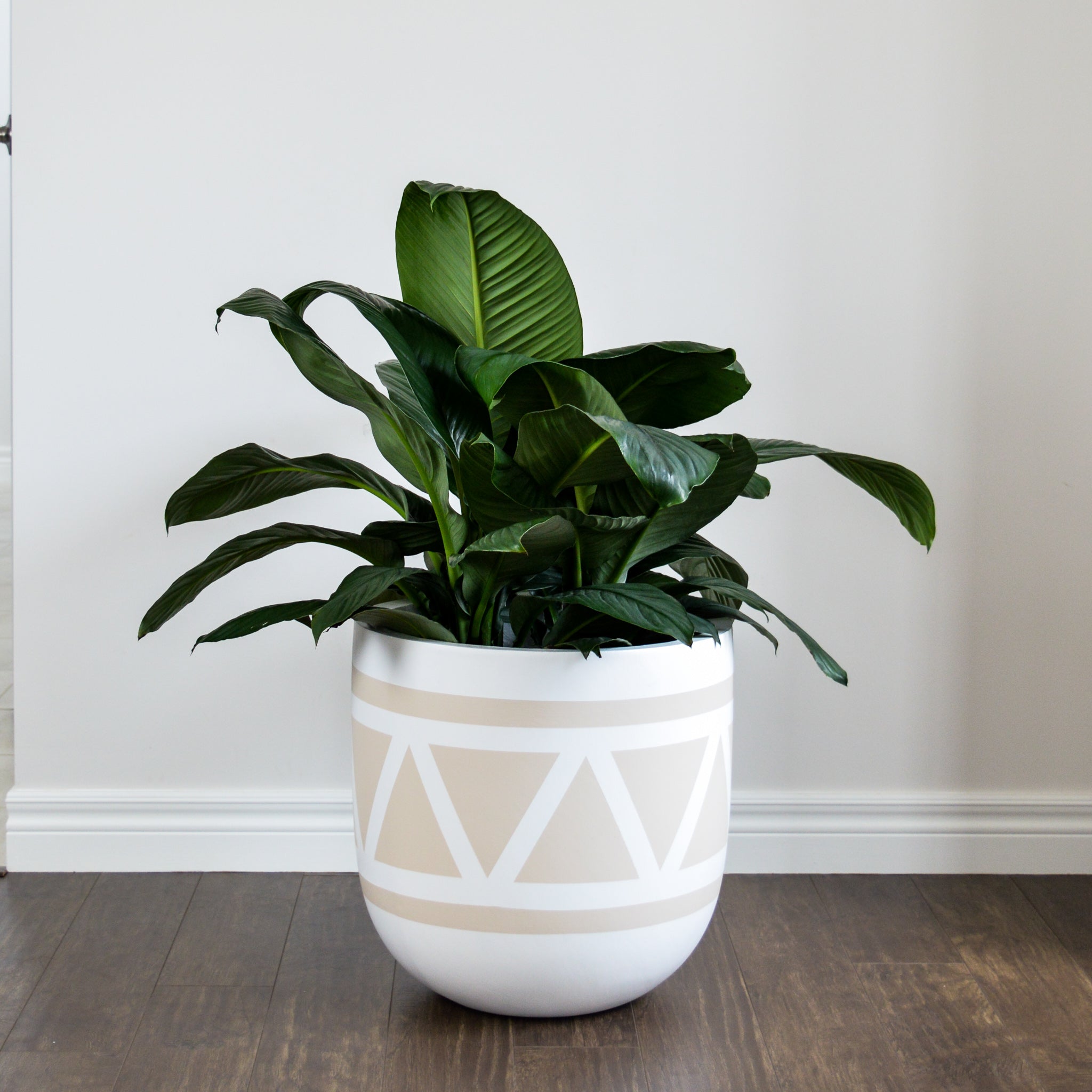 AZTEC PLANTER | Modern Lightweight Hand Painted Pots – Common House Studio