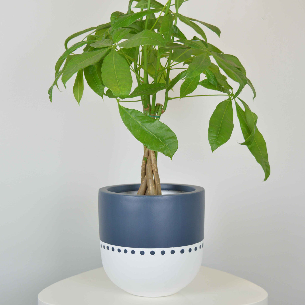 Bohemian plant pot | BOHO PLANTER – Common House Studio