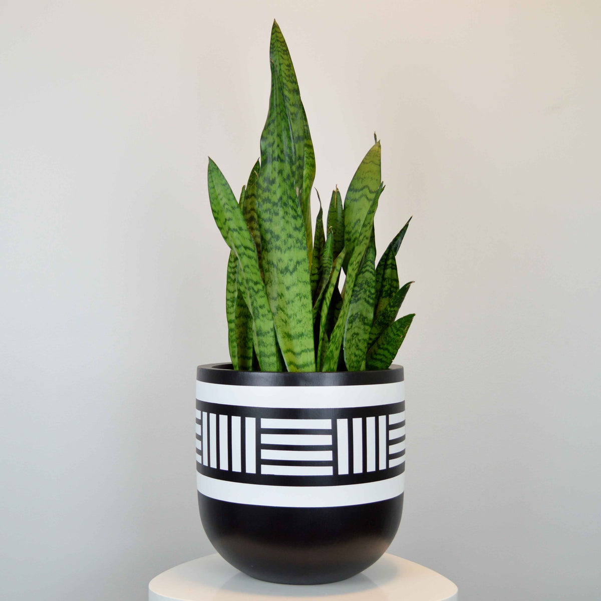 THE NOMAD POT - Modern Lightweight Hand Painted Planter – Common House ...