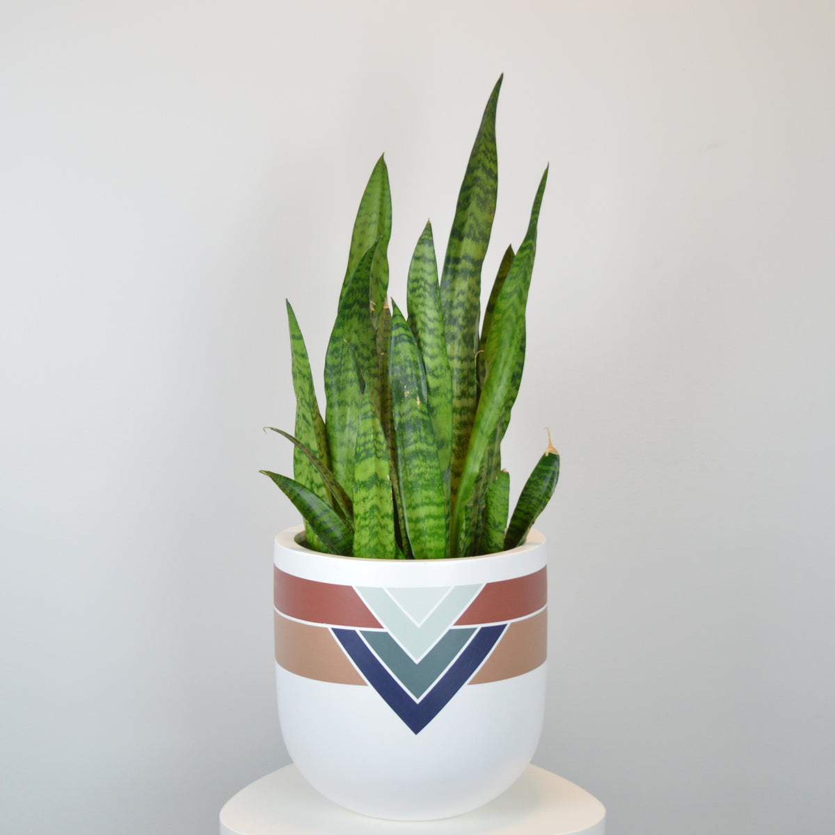 Boho style plant pots - THE MARRAKESH POT – Common House Studio