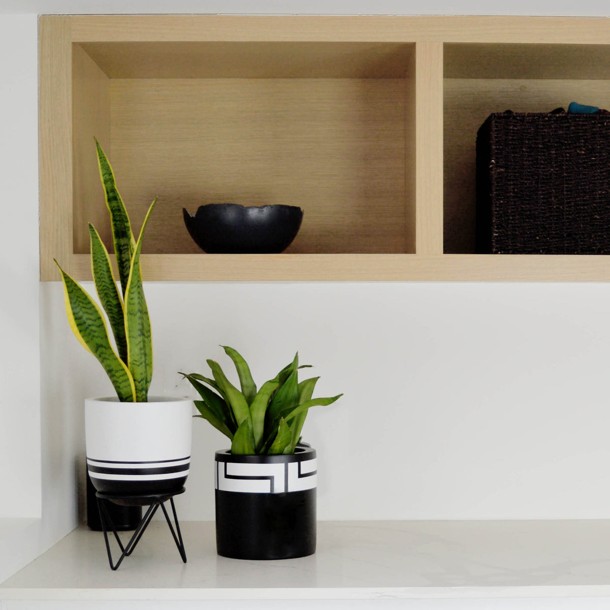 Mayan Design Modern Cylindrical Planter | MAYAN CYLINDER – Common House ...