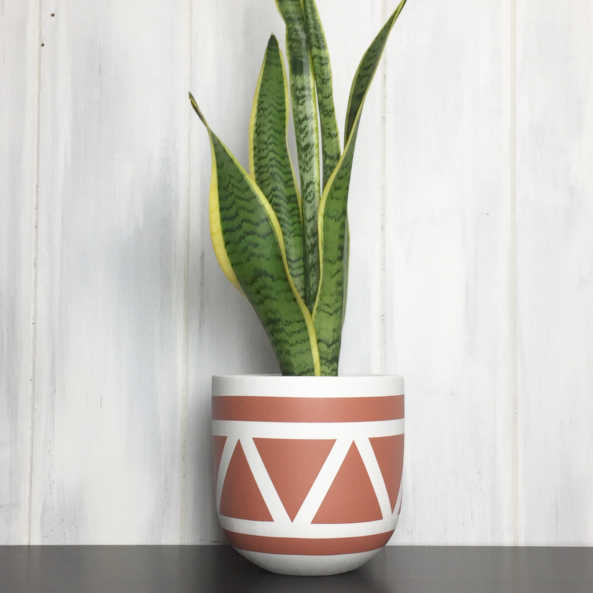 AZTEC PLANTER | Modern Lightweight Hand Painted Pots – Common House Studio